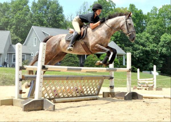 Hidden Brook Stables - Lebanon, CT
