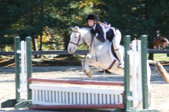 Hidden Brook Stables - Lebanon, CT