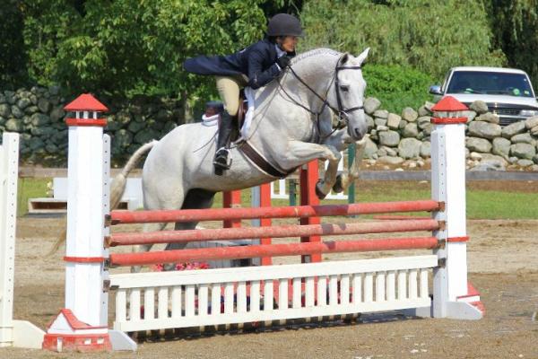 Hidden Brook Stables - Lebanon, CT