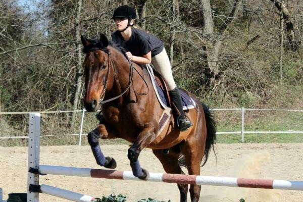 Hidden Brook Stables - Lebanon, CT